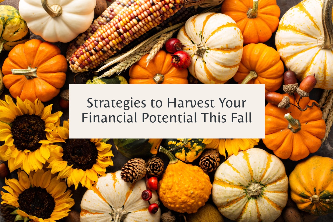 Fall Financial Tips: Strategies to Harvest Your Potential